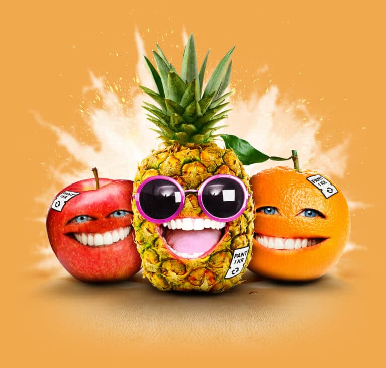 Inledning – Pantamera